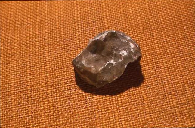 Hydrophobia stone from Henllan, Ceredigion | Peoples Collection Wales