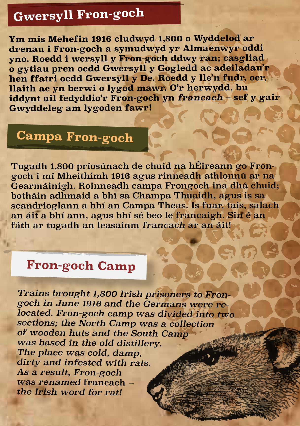 Fron-goch Leaflet | Peoples Collection Wales