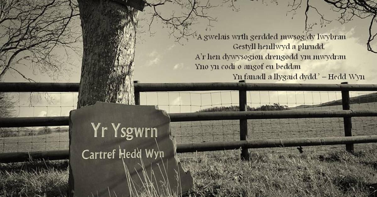Pictures and Poetry (Hedd Wyn) | People's Collection Wales