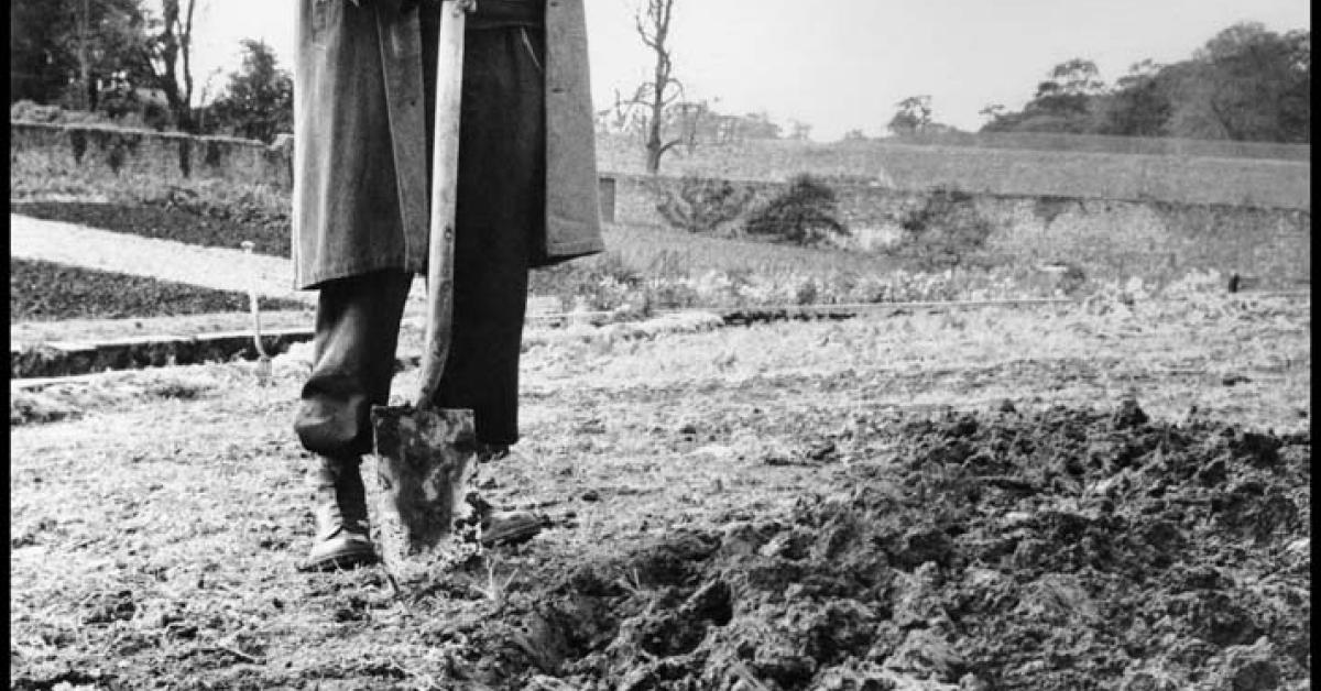 Hensol Castle Patient Farming | People's Collection Wales