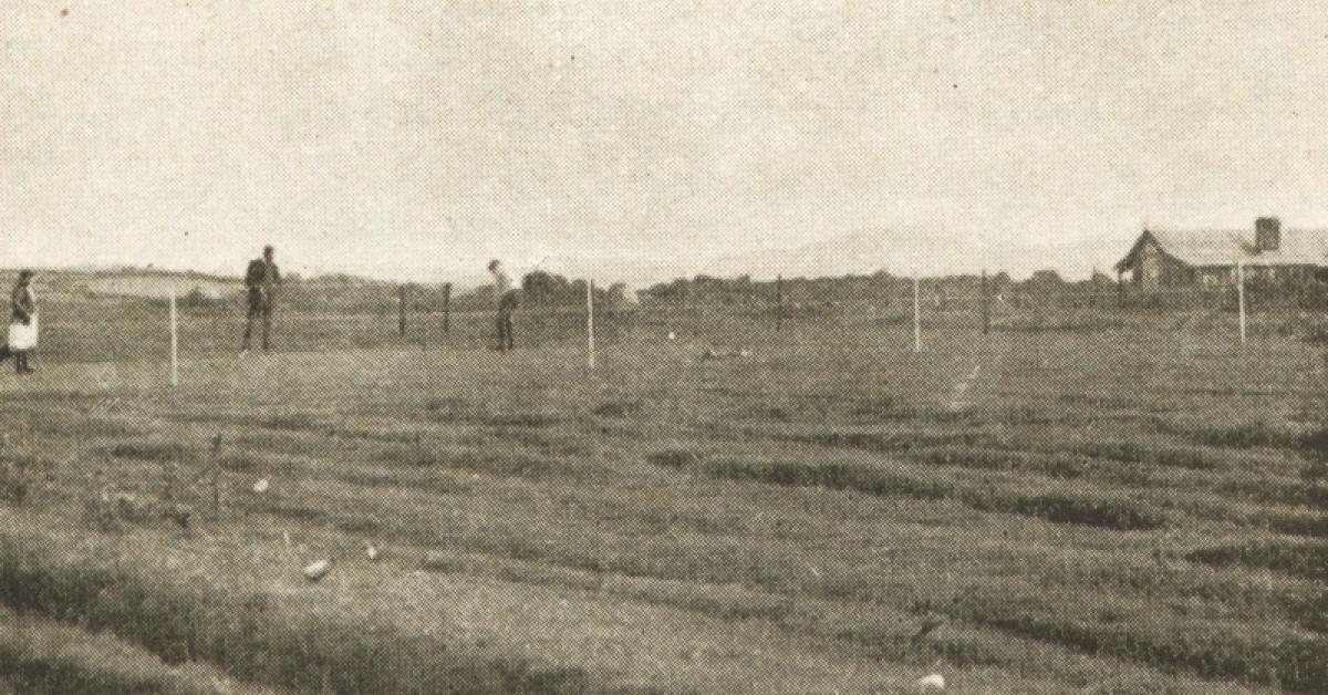 Holywell Golf course. | People's Collection Wales