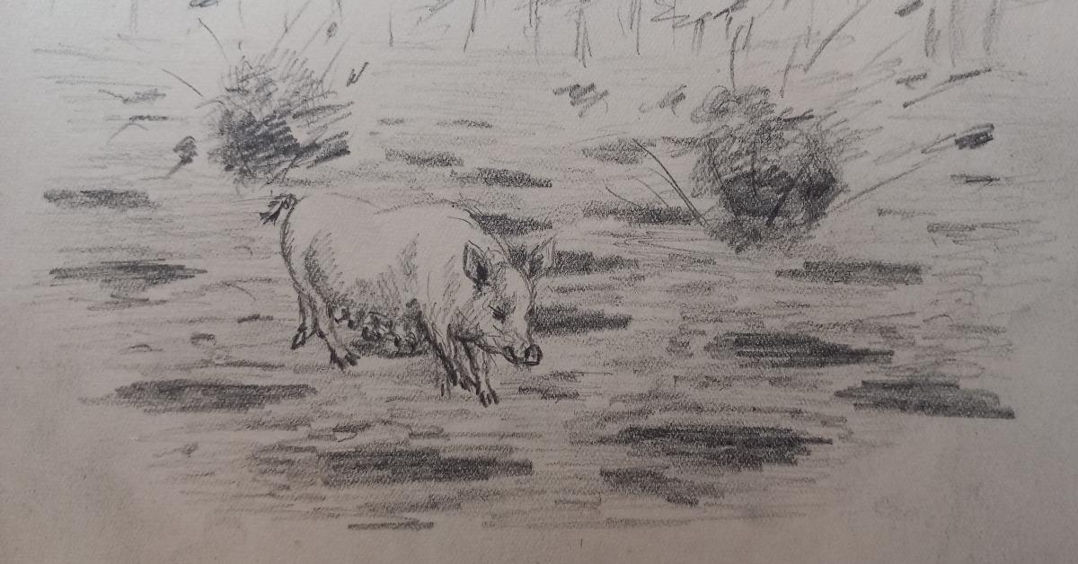 A lone pig picks its way through a cratered field Germany 1945 by Bruce ...