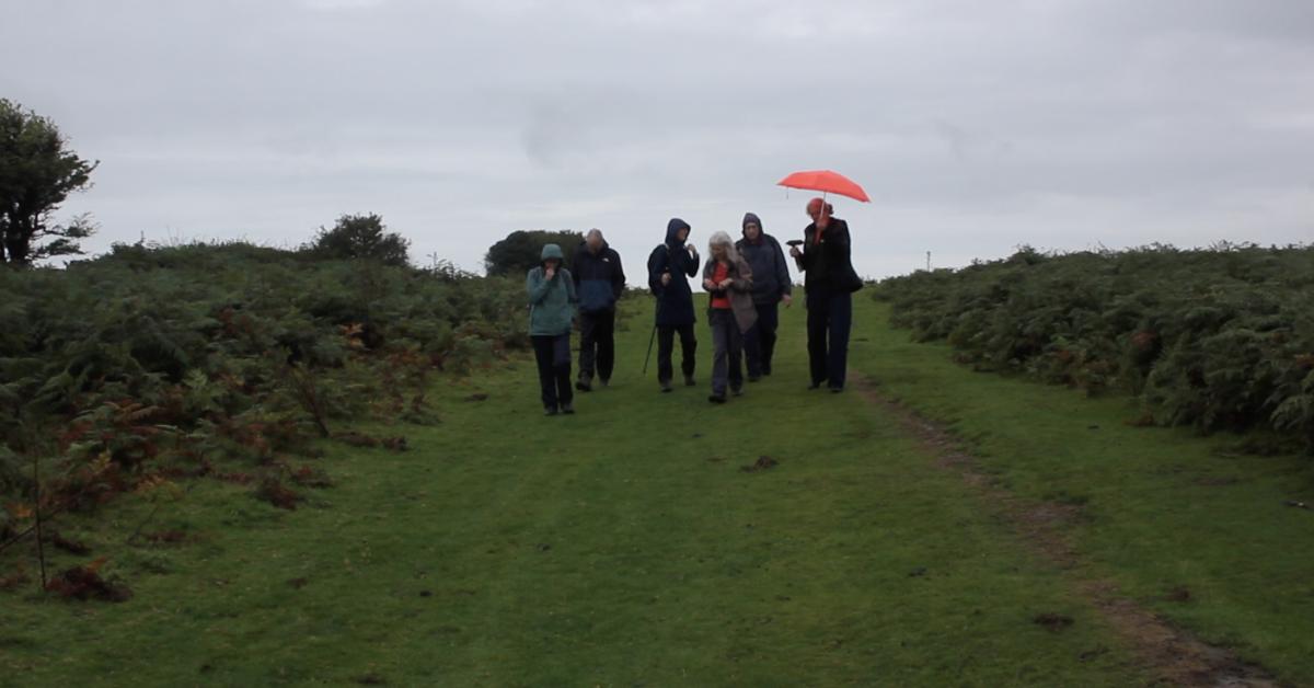 Dot Williams leading public walk Old Castle Down, 2024 | People's ...