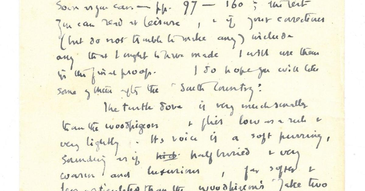 29 Sep 1909, Berryfield Cottage | People's Collection Wales